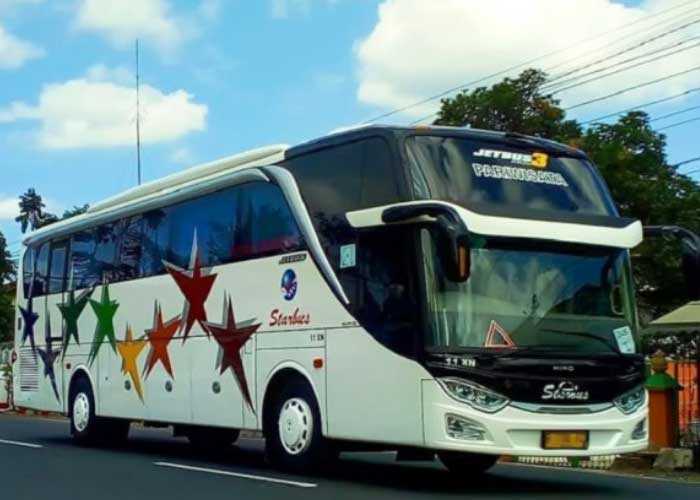 Startbus Bus Pariwisata sewa Bus Pariwisata - Suryatourtrans sedia Bus ...